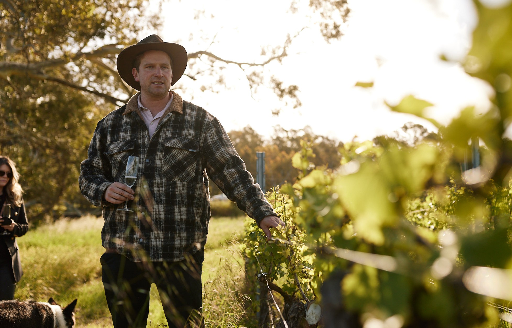 Client Spotlight: Howard Vineyard - Accru Harris Orchard